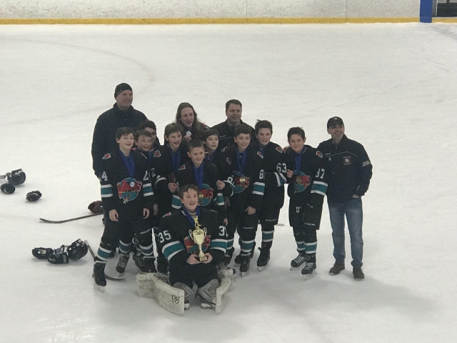 Greater Boston Vipers :: News