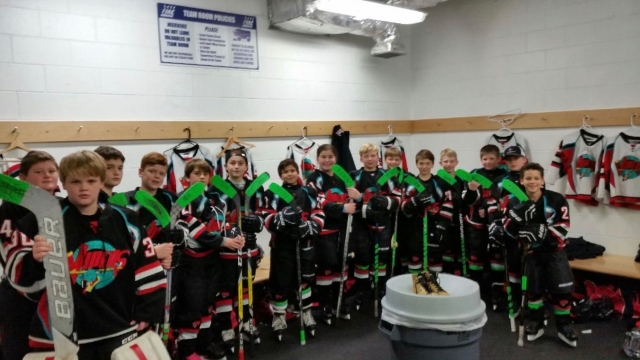 Greater Boston Vipers :: News